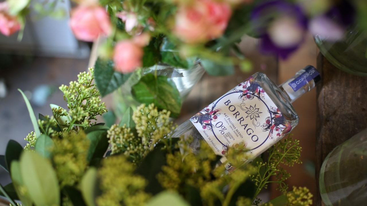 Poznáte rozdíl koktejlu s nealko ginem? - VisitChef.com