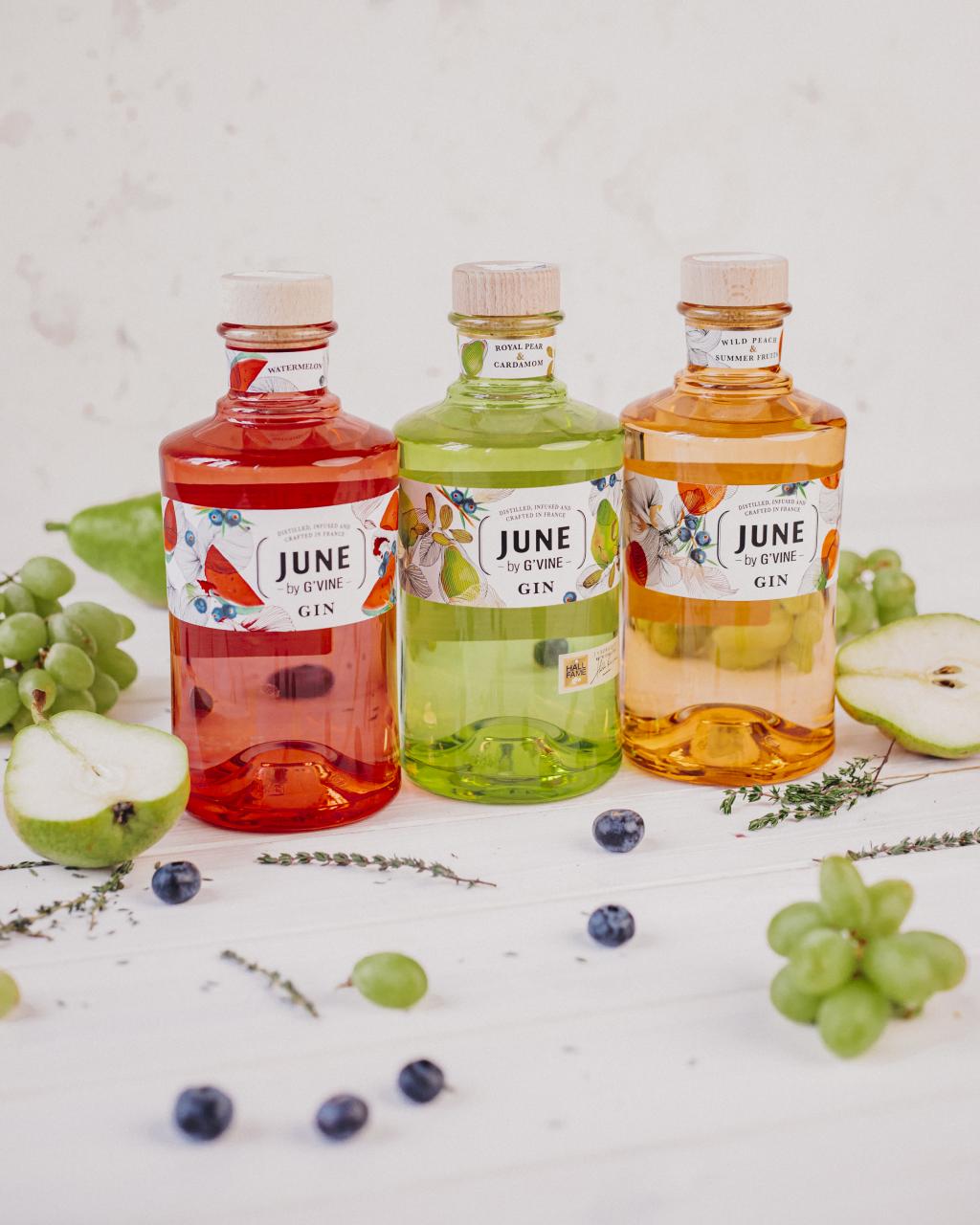 Ginová rodina G’vine řady JUNE se rozrůstá o nejnovější JUNE Watermelon ...